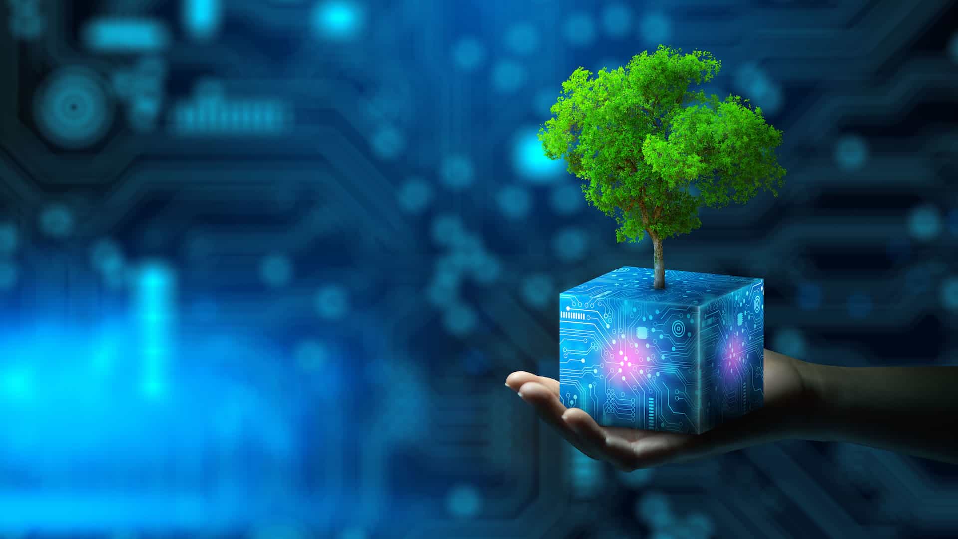 Third Party Maintenance: Ein unerkannter Held der Green-IT-Bewegung