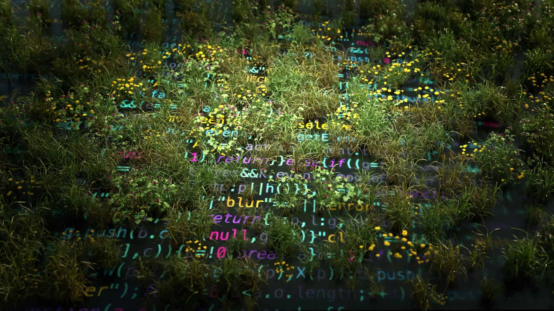 Green Coding als Beitrag zu nachhaltiger Informationstechnik ...