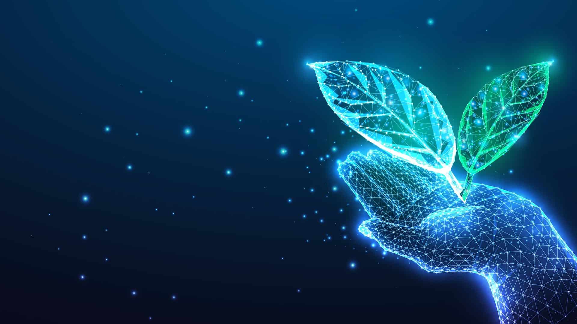 Open source as an important lever for more sustainability in IT - Archyde