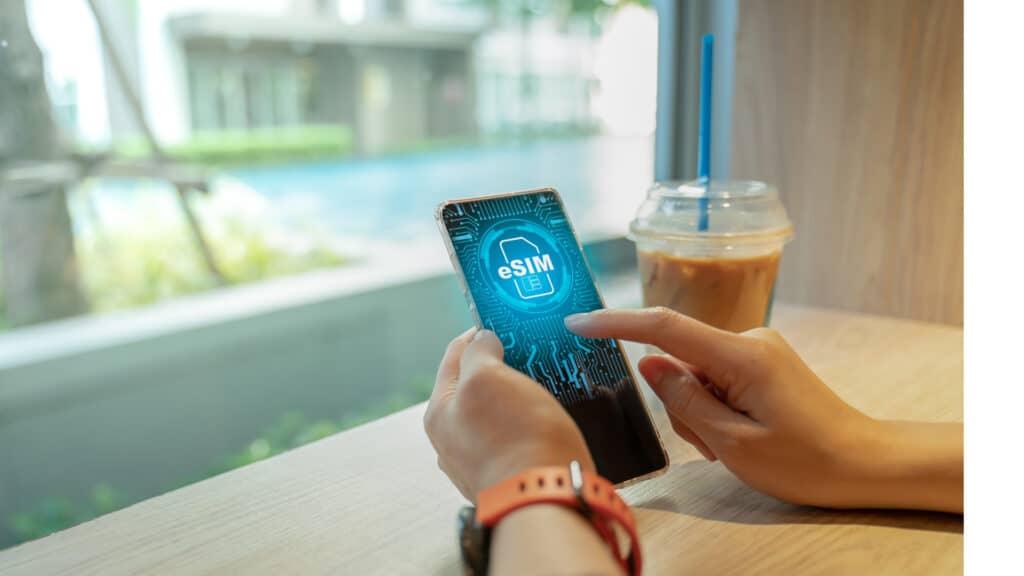 eSIM-Karte für mobile Geräte - Onlineportal von IT Management