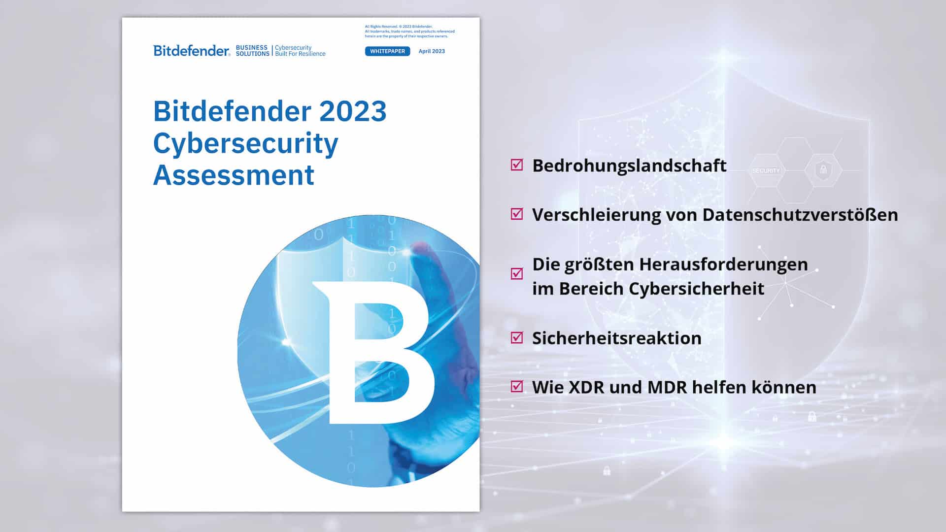 Cybersecurity Assessment - Report