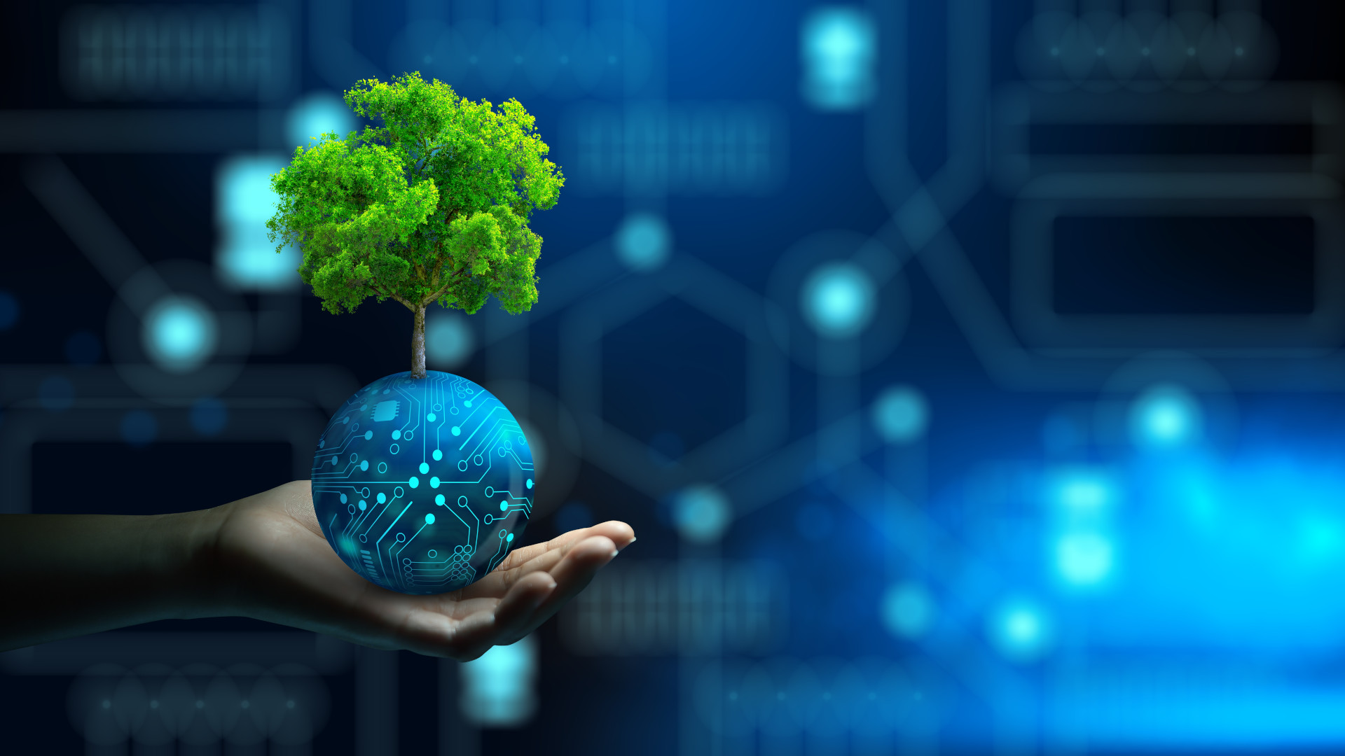 Sechs Ansätze für eine nachhaltigere Digitalisierung